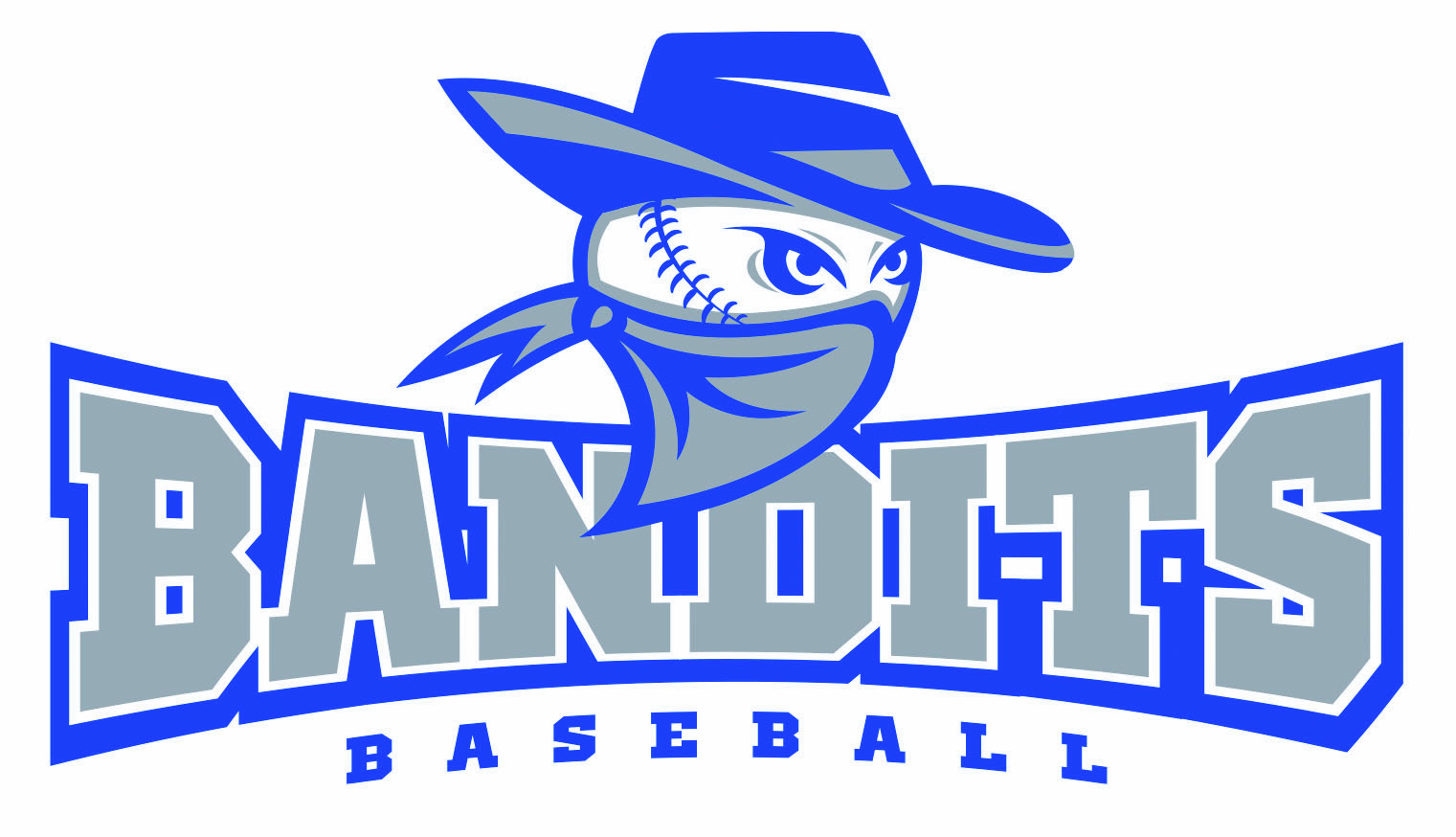 National Championship Sports | Baseball | Blount County Bandits | 10U D3