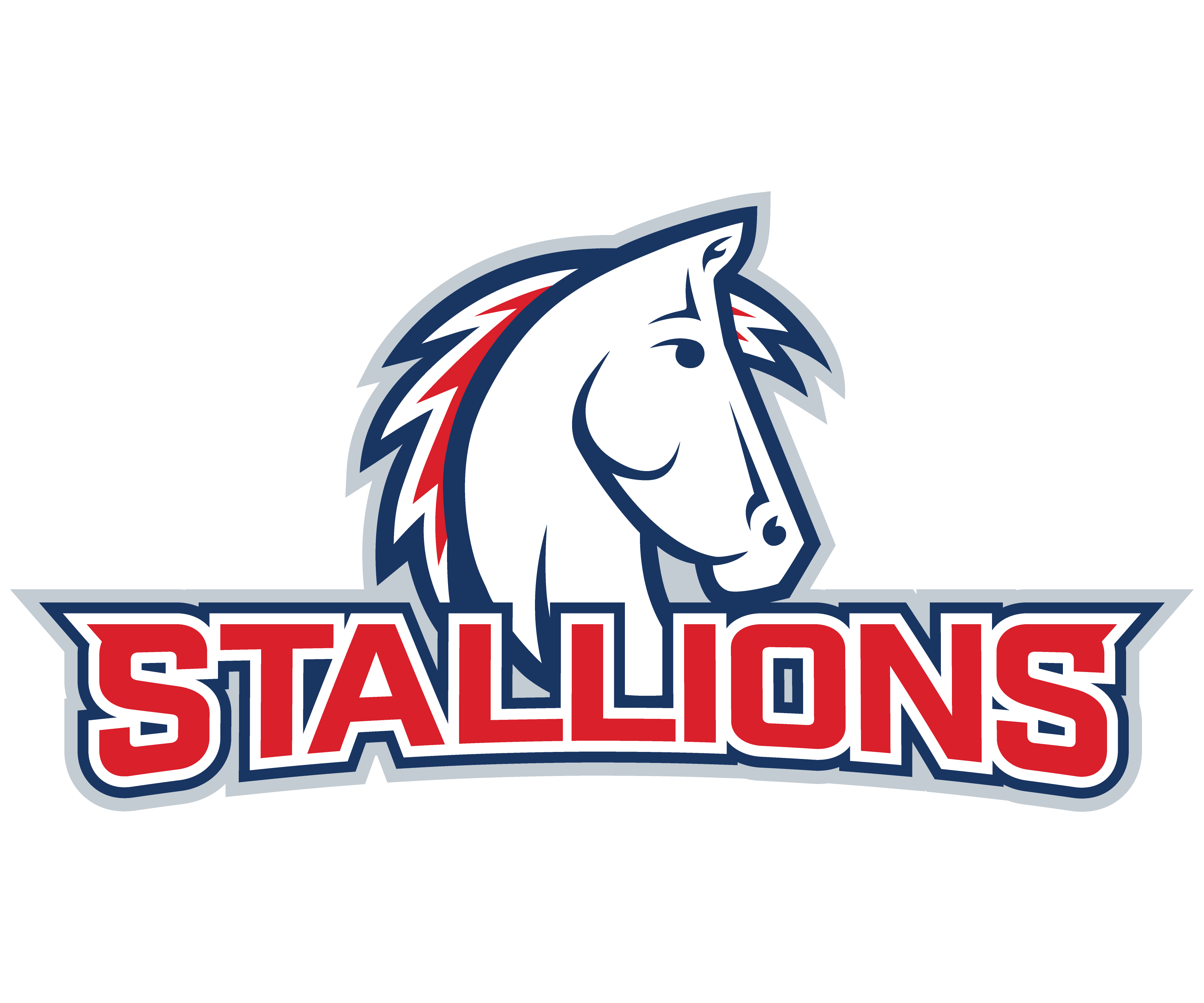 National Championship Sports | Baseball | Stallions | 11U D1