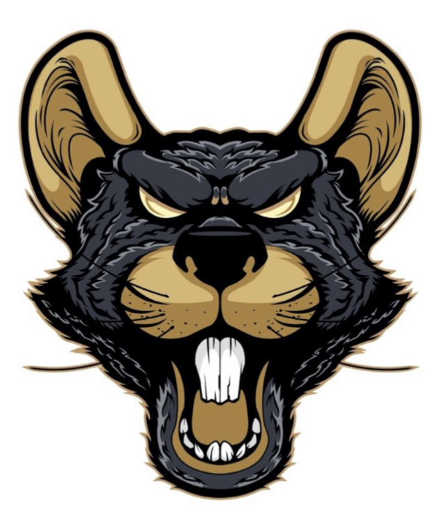 National Championship Sports | Baseball | Lab Rats 12U Calvert | 12U D3