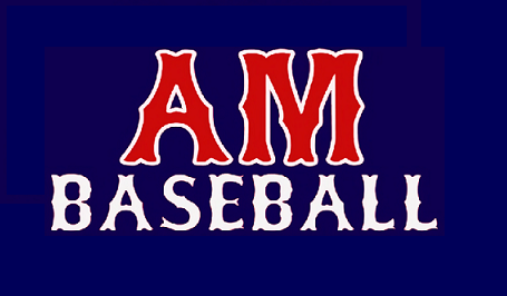 National Championship Sports | Baseball | American Made Baseball 14U ...