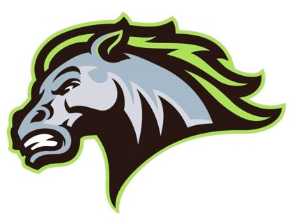 National Championship Sports | Baseball | STALLIONS | 11U D3