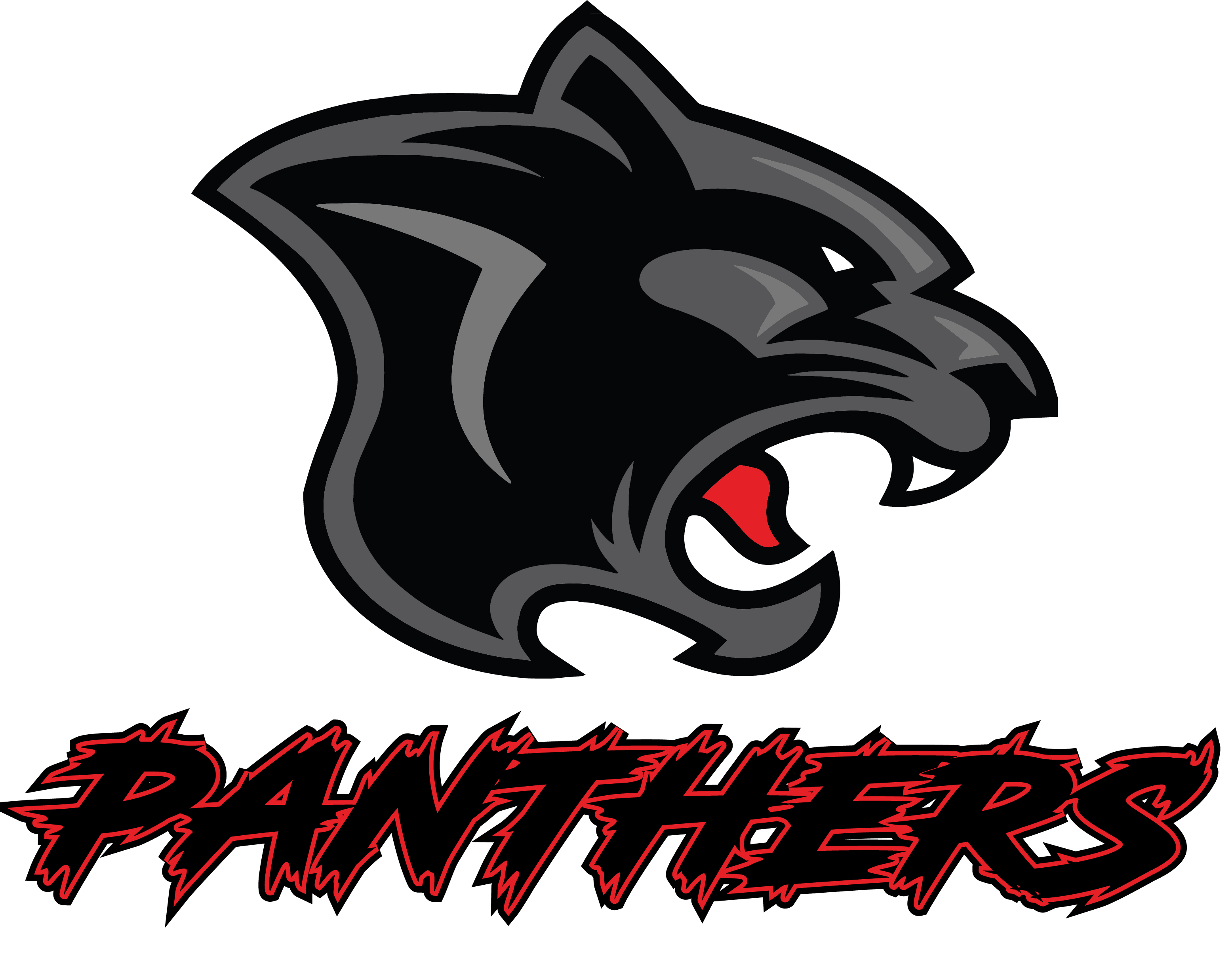 National Championship Sports | Baseball | Panthers | 9U D3