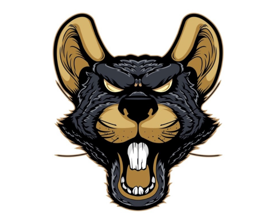 National Championship Sports | Baseball | Elk Grove Lab Rats Lucas | 14U D3