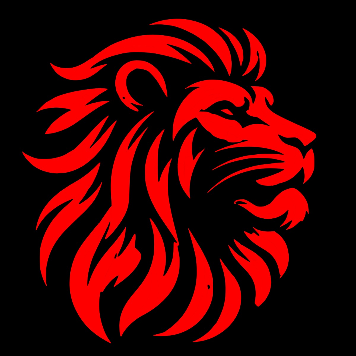 National Championship Sports | Baseball | Grapevine Lions 10U | 10U D3