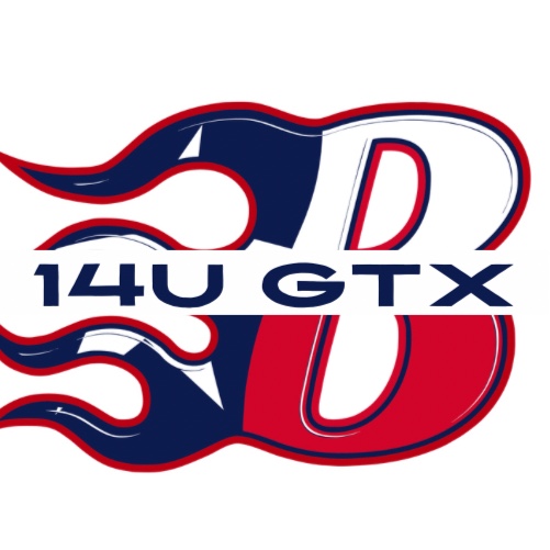 National Championship Sports | Fastpitch | TX Blaze 14u GTX* | 14U B