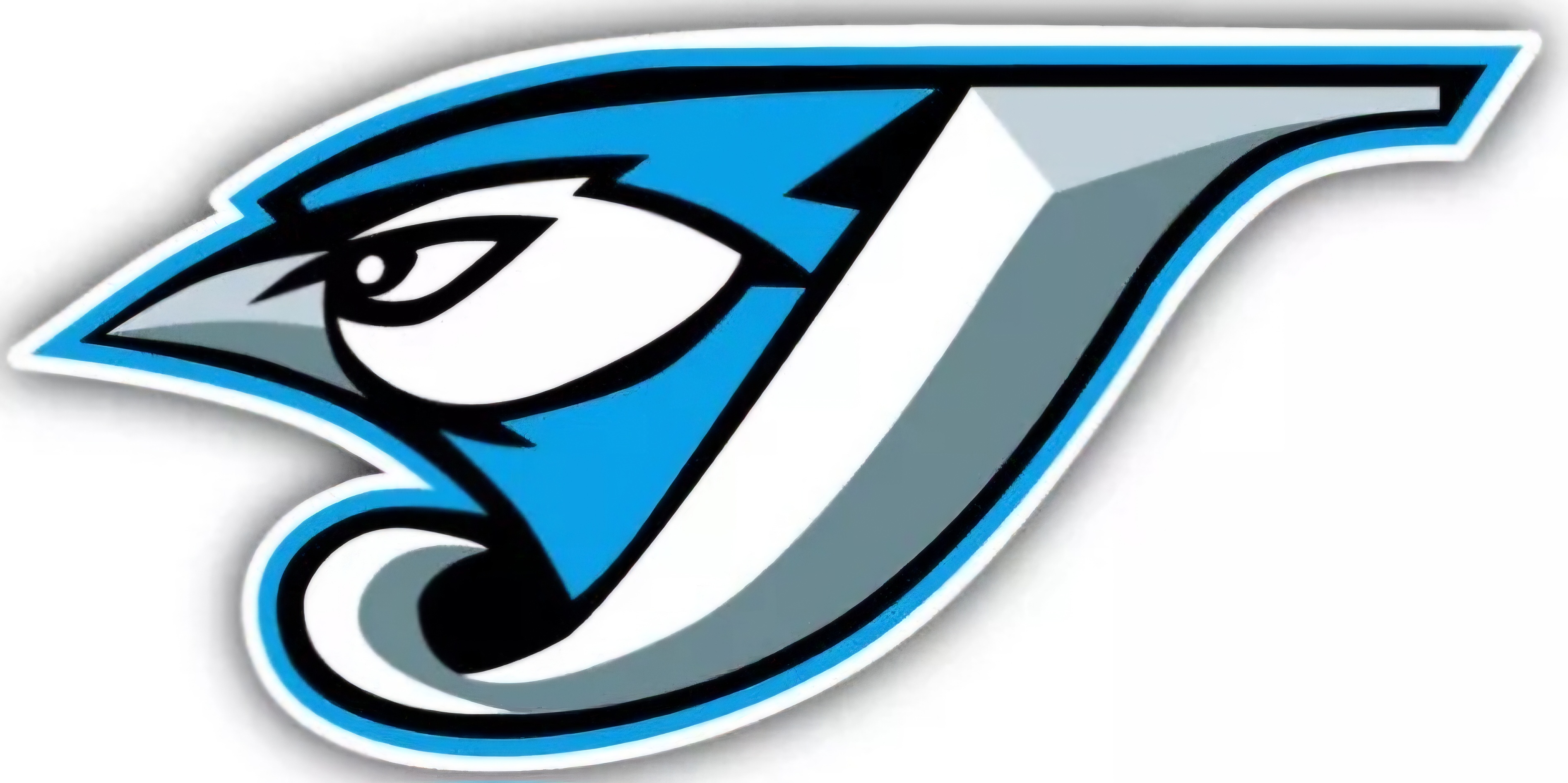 National Championship Sports | Baseball | Jasper Jays | 8U D3 CP