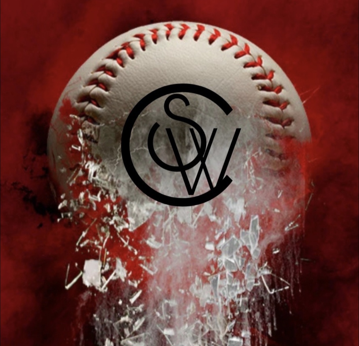 National Championship Sports | Baseball | Southwest Connect | 16U D2