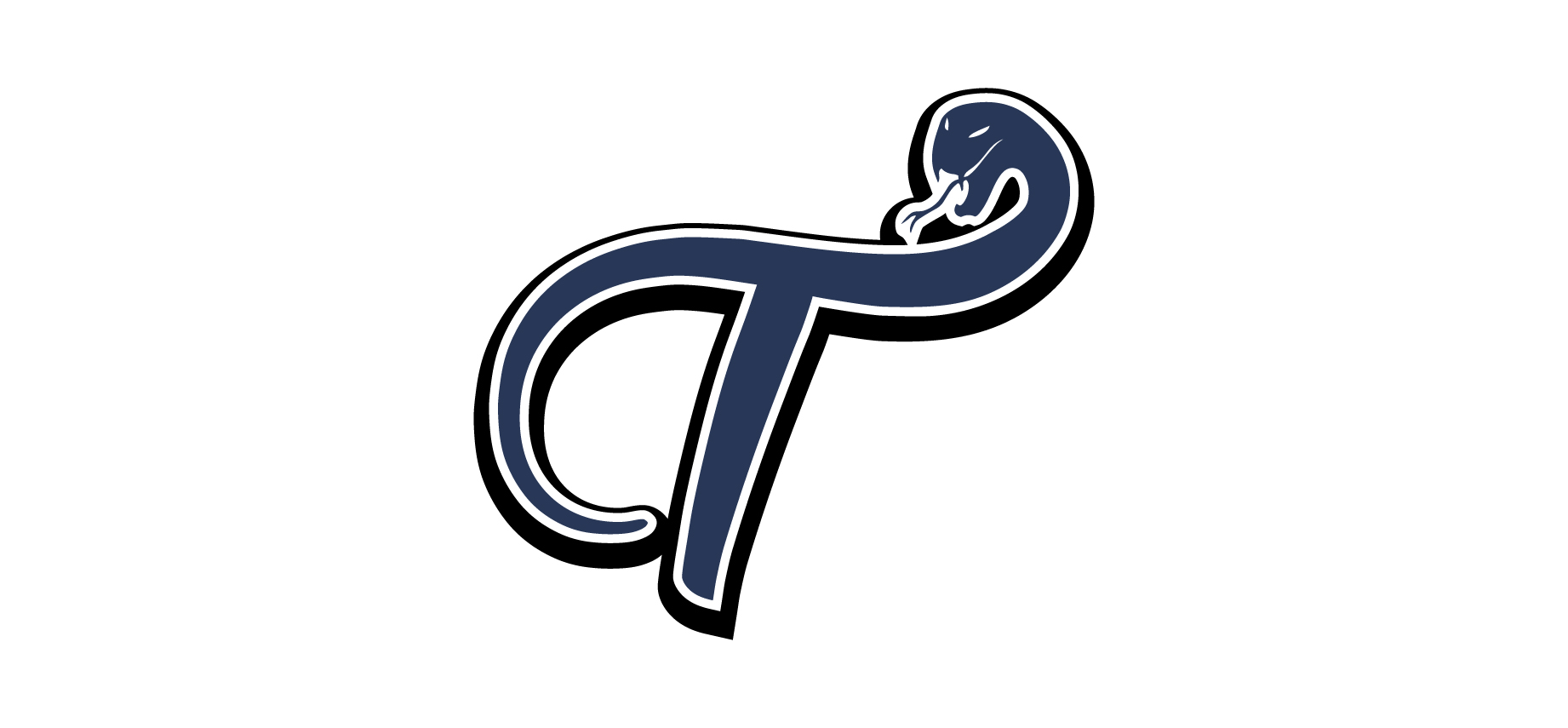 National Championship Sports | Baseball | VBA Taipans | 12U D3