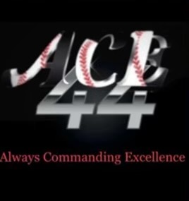 National Championship Sports | Baseball | ACE 44 Saenz | 11U D1