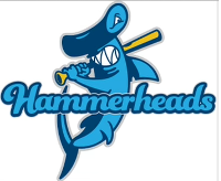 National Championship Sports | Baseball | SB Hammerheads | 9U D3