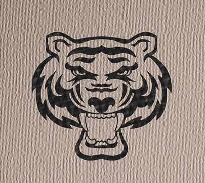 National Championship Sports | Baseball | VC Tigers Baseball Club | 12U D2