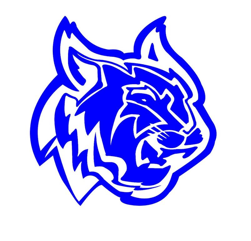 National Championship Sports | Baseball | Wildcats Baseball | 12U D3