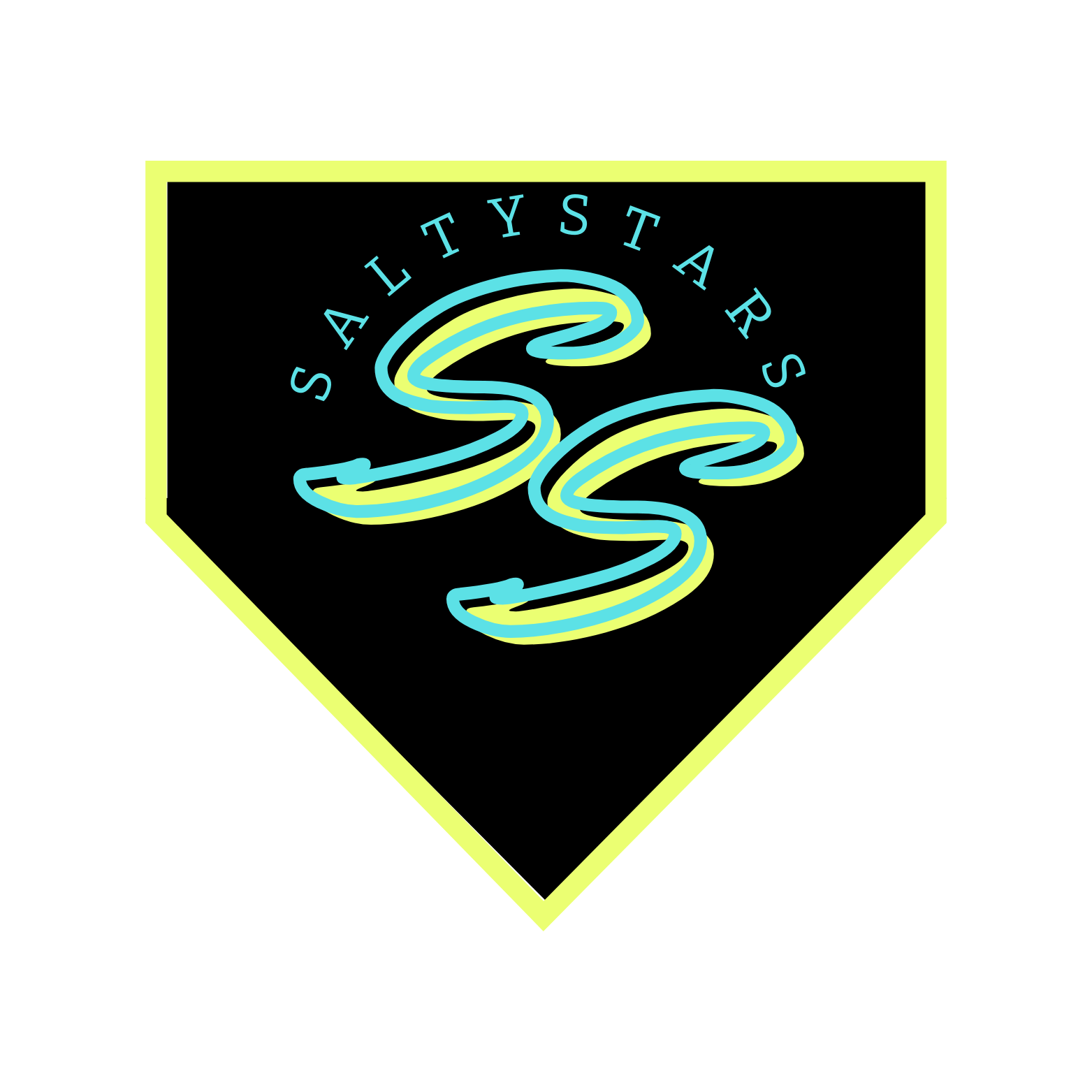 National Championship Sports | Baseball | Salty Stars 9U | 9U D3