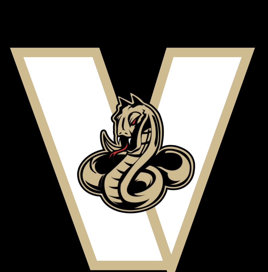 National Championship Sports | Baseball | Vipers Baseball 14u | 14U D3