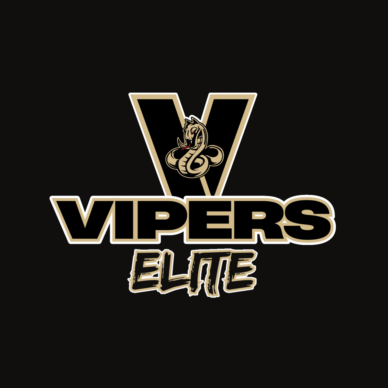 National Championship Sports | Baseball | Vipers Elite14u | 14U D3