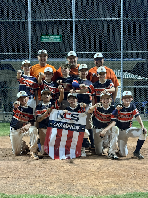 National Championship Sports | Baseball | 12U Desperados | 12U D2