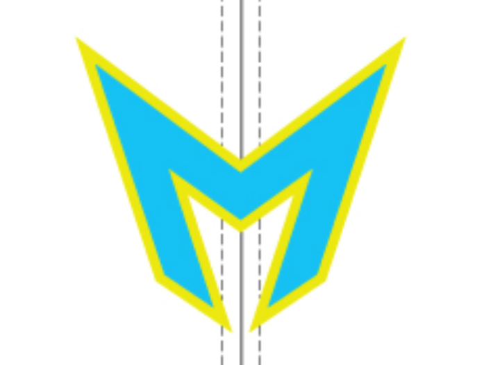 National Championship Sports | Slowpitch | Monstars | MENS D