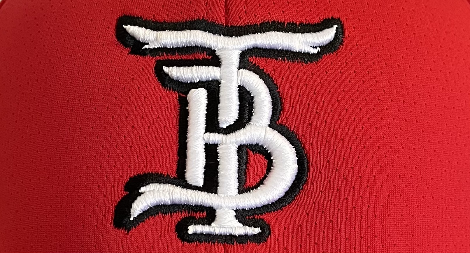 National Championship Sports | Baseball | Toros Baseball | 14U D2