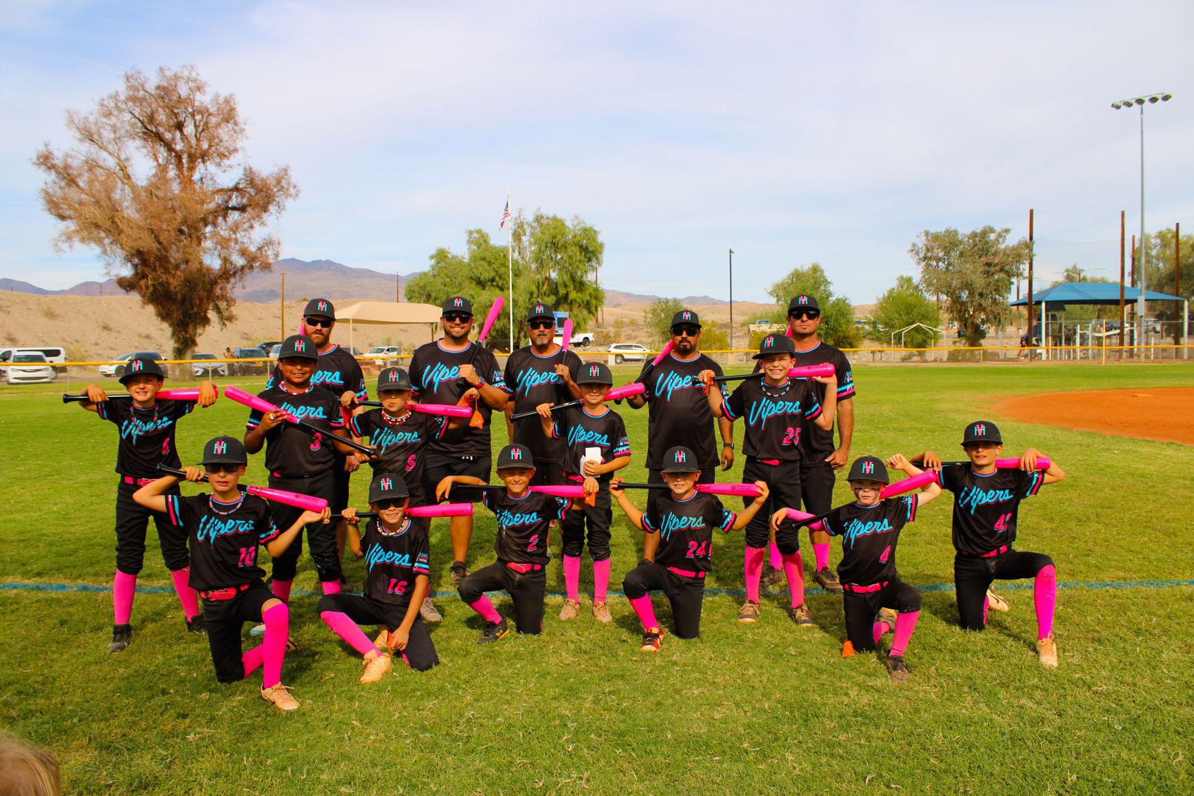 National Championship Sports | Baseball | Havasu Vipers 9U | 9U D3