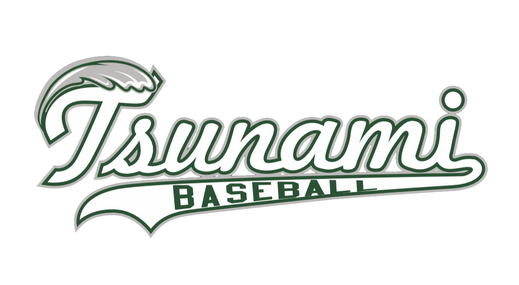 National Championship Sports | Baseball | Tsunami | 9U D3