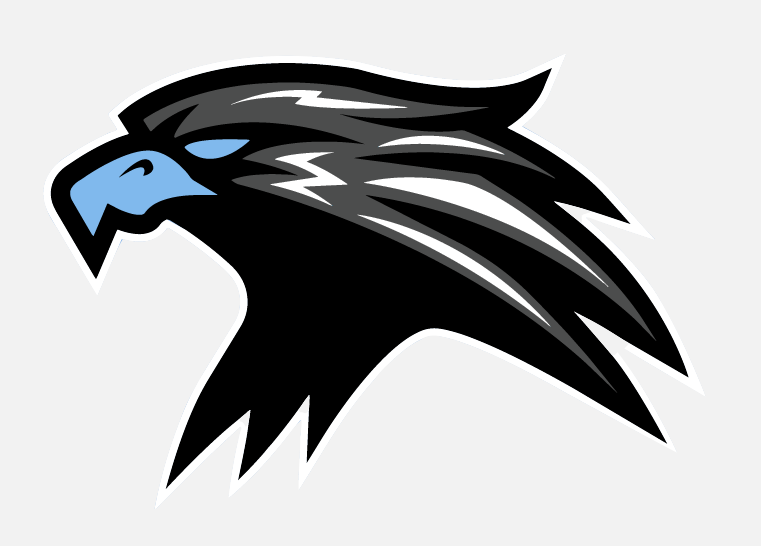 National Championship Sports | Baseball | GBG Blackhawks | 14U D1