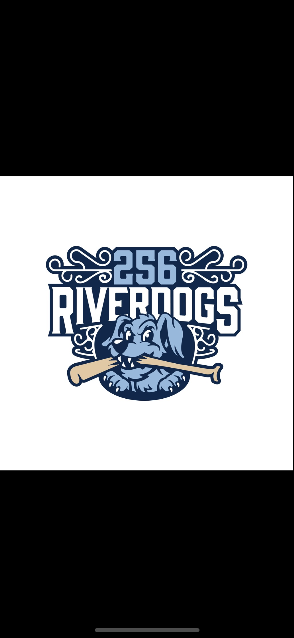 National Championship Sports | Baseball | 256 River Dogs | 13U D2