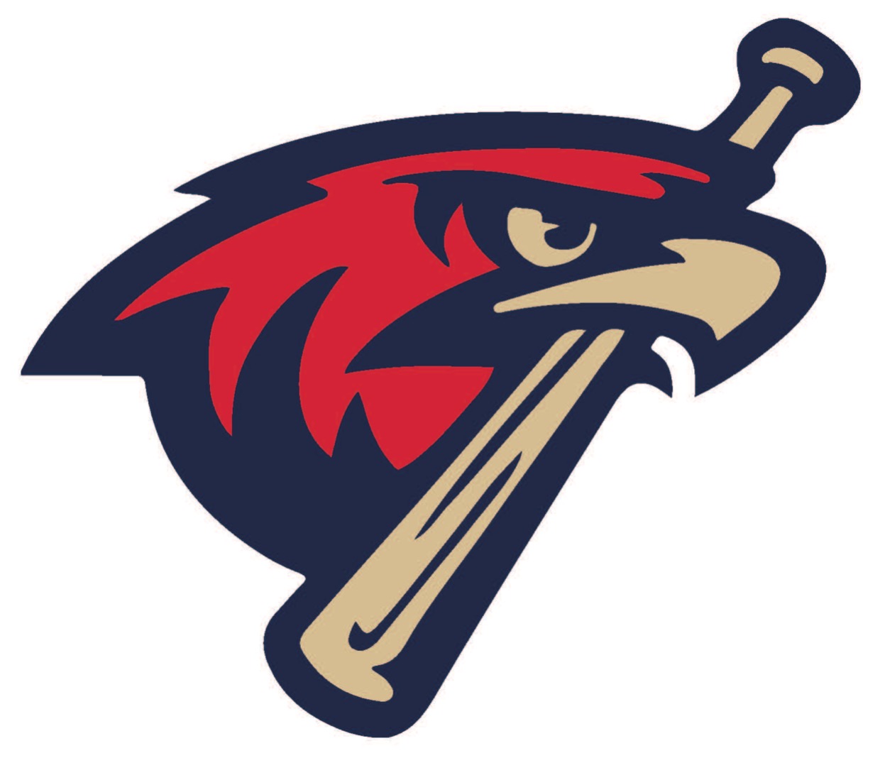 National Championship Sports | Baseball | Benbrook Hawks | 12U D3