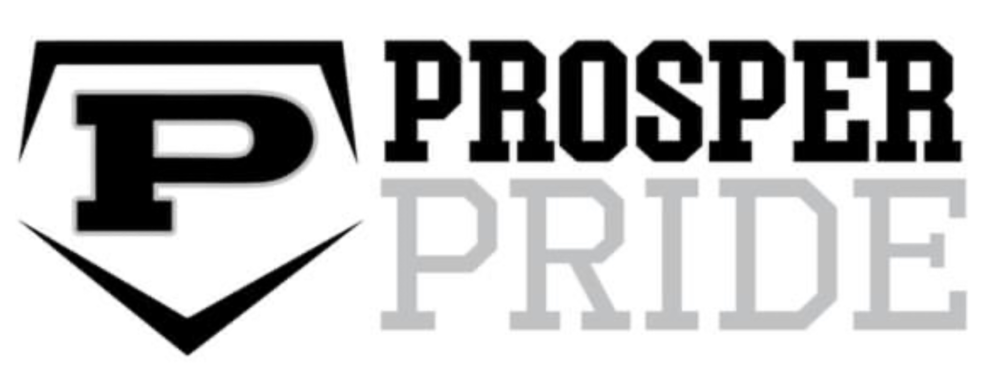 National Championship Sports | Fastpitch | Prosper Pride 2K14 | 12U B
