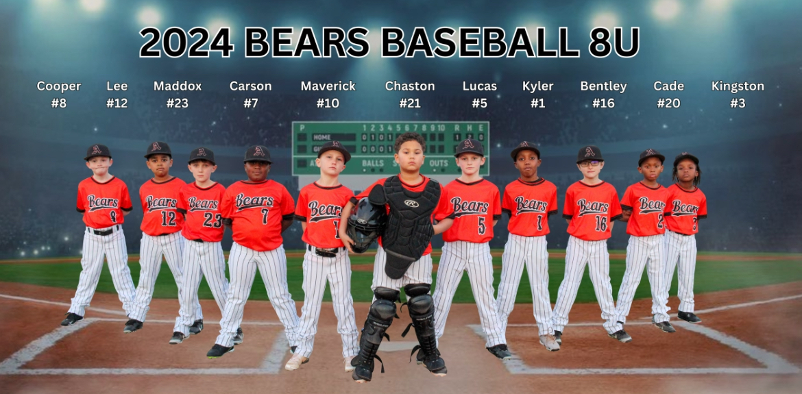 National Championship Sports | Baseball | Bears Baseball | 9U D3