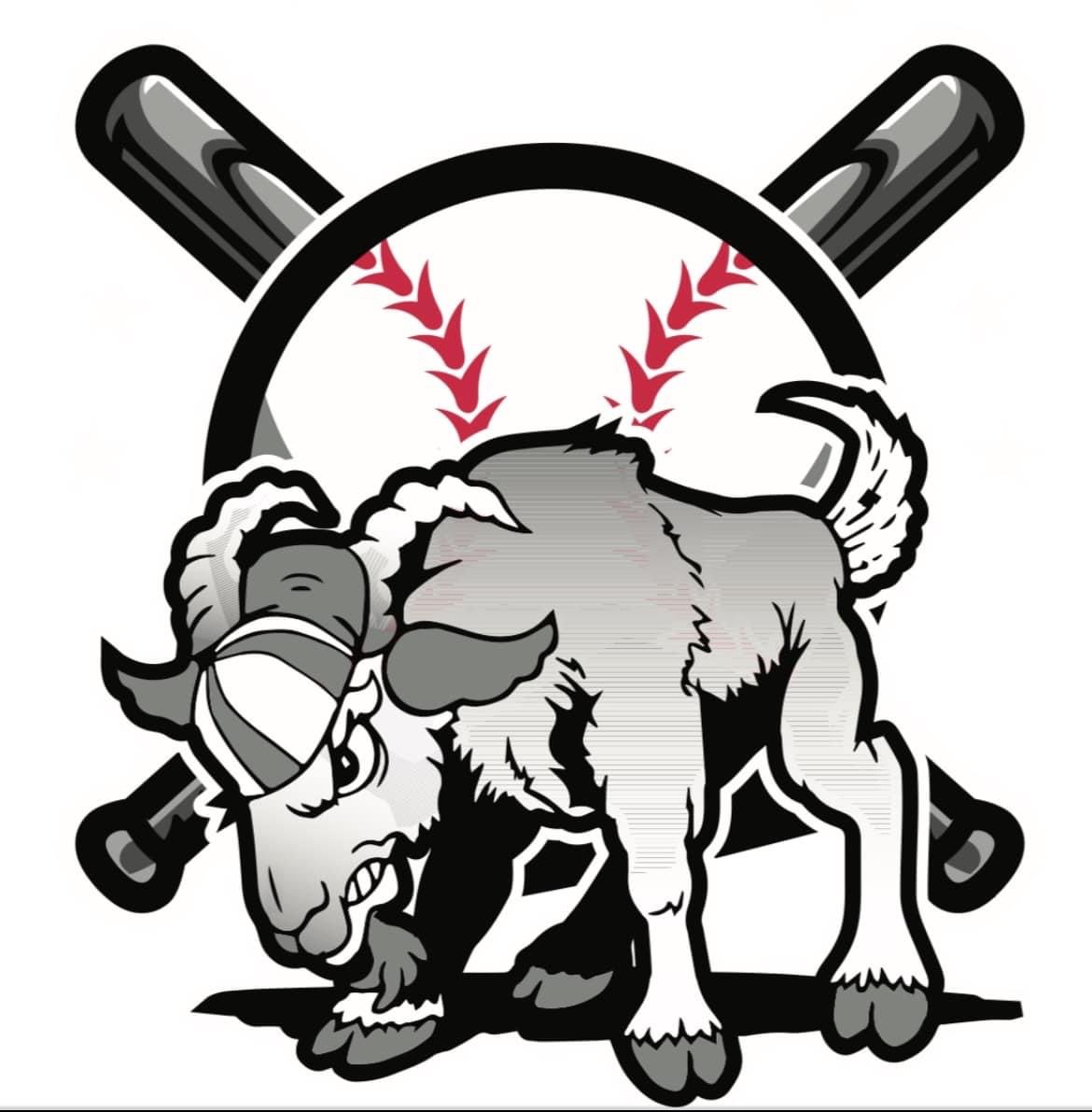 National Championship Sports | Baseball | 915 GOATS | 9U D3