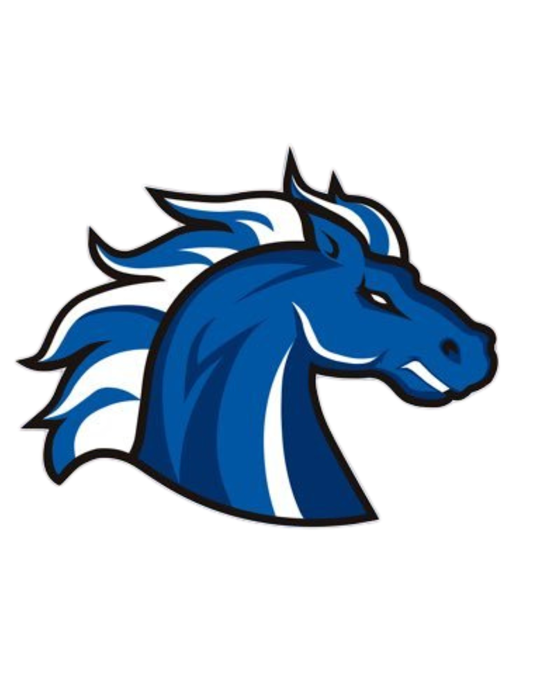 National Championship Sports | Baseball | Stallions | 7U REC CP