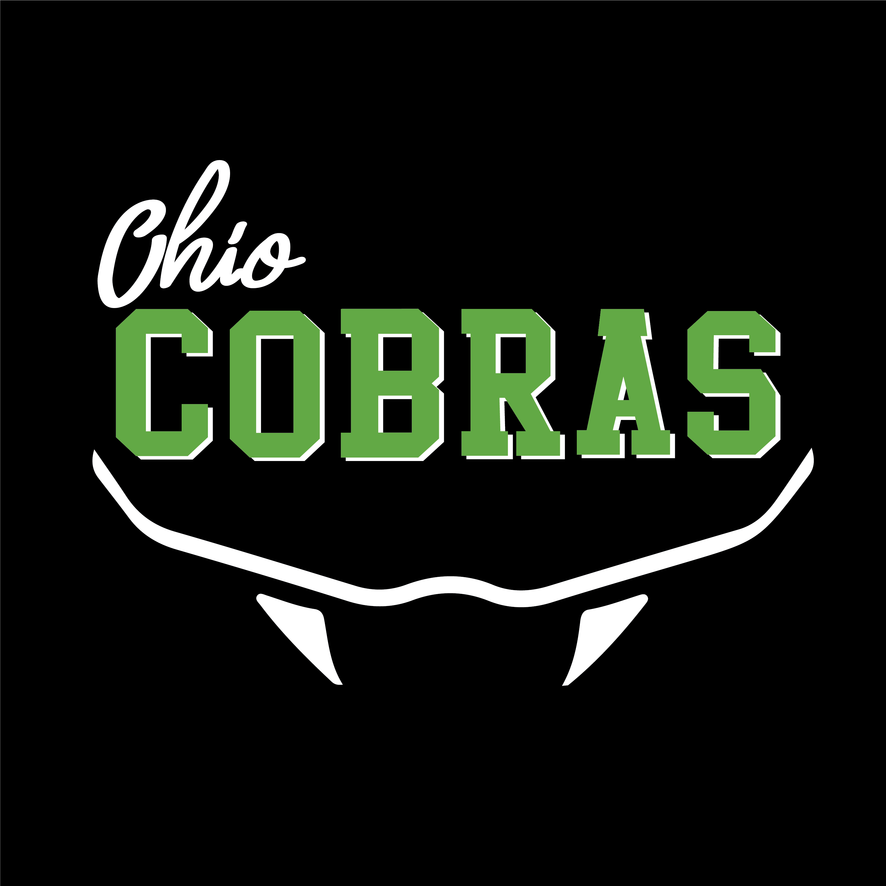 National Championship Sports | Fastpitch | Ohio Cobras 2016 8u | 8U B
