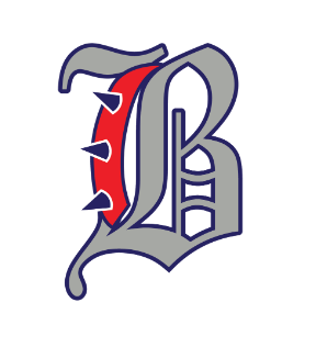 National Championship Sports | Baseball | Bakersfield Bulldogs | 11U D3