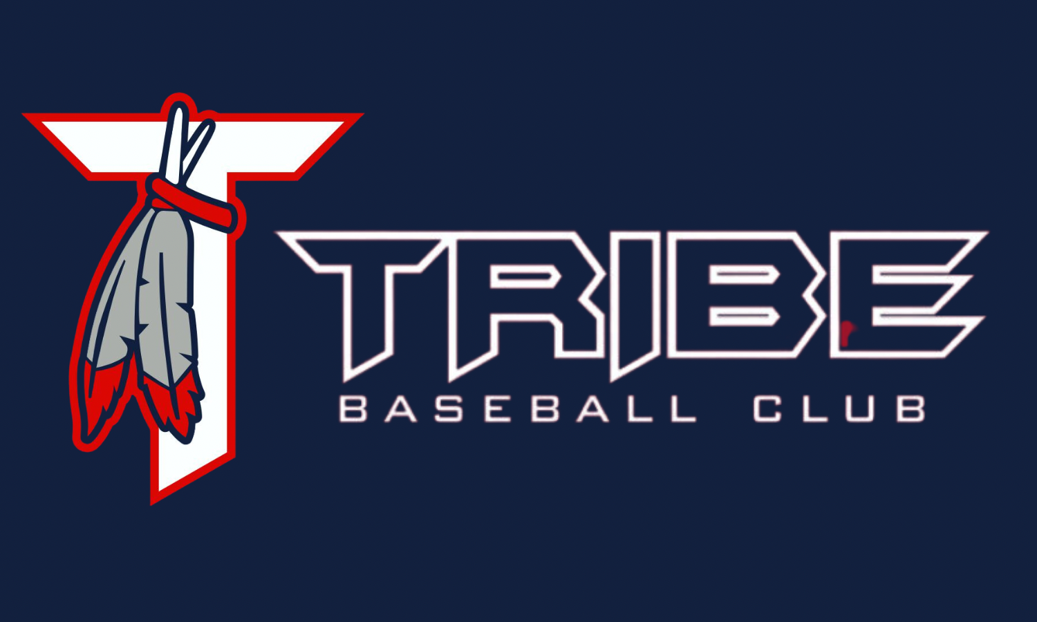 National Championship Sports | Baseball | GT TRIBE 12u Navy - Inland ...