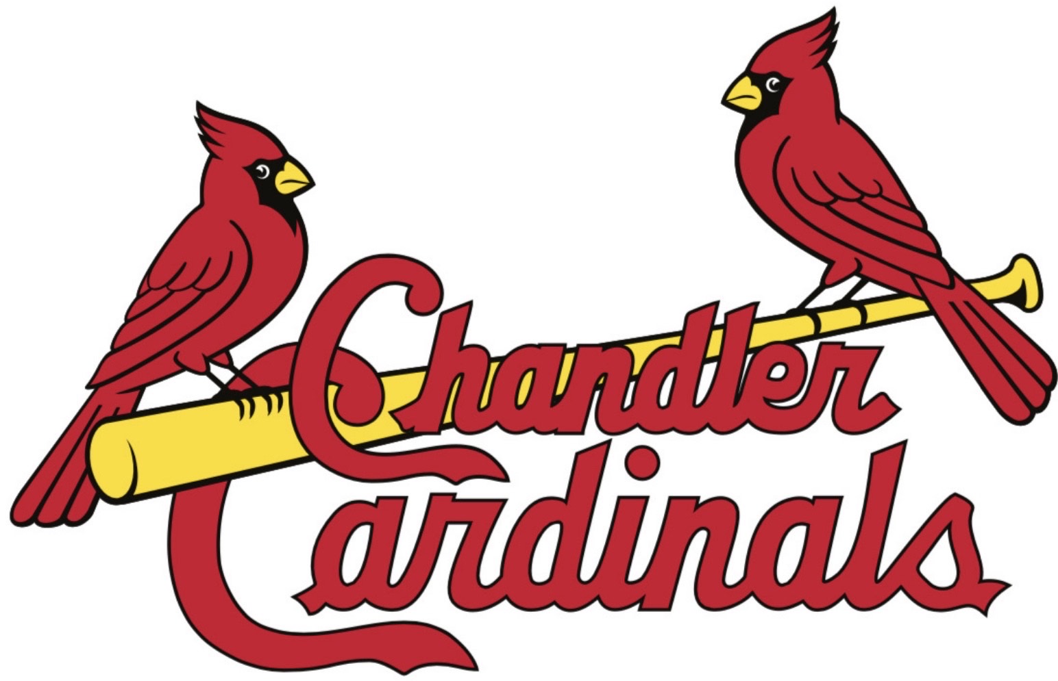 National Championship Sports | Baseball | Chandler Cardinals Black | 12U D3