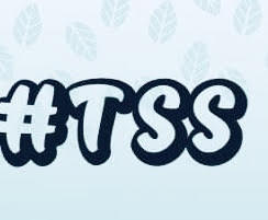 National Championship Sports | Slowpitch | #TSS | COED D