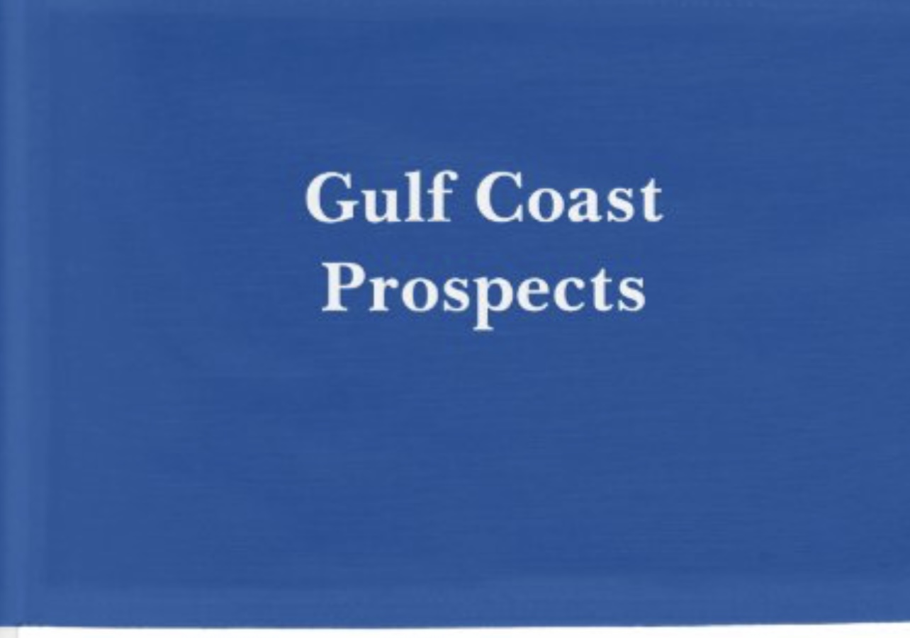 National Championship Sports | Baseball | Golf Coast Prospects | 8U D2 CP