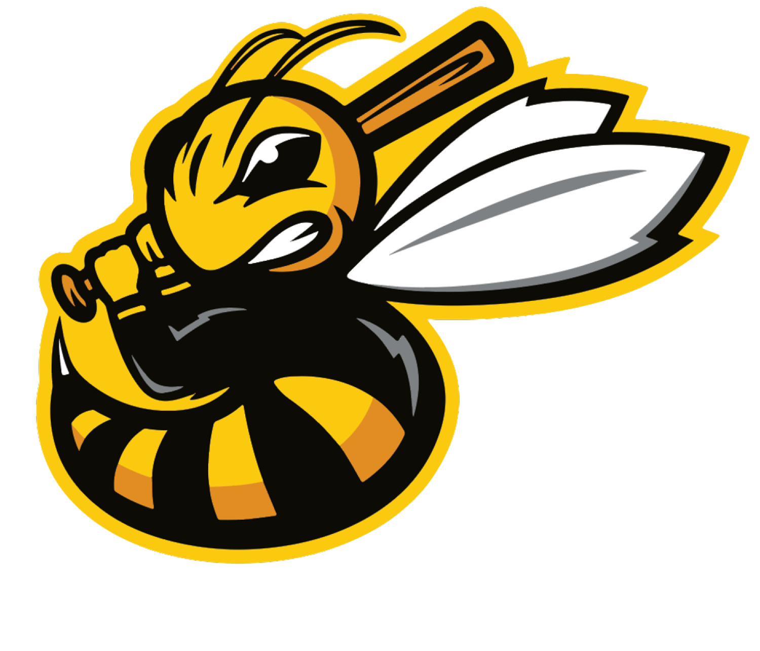 National Championship Sports | Baseball | South Bay Bees | 8U D3 KP