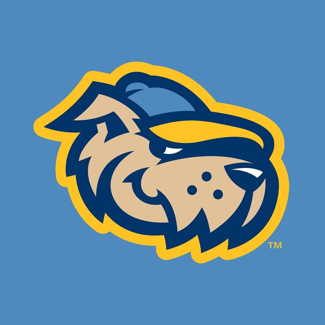 National Championship Sports | Baseball | Surf City Dawgs 10u Dillard ...