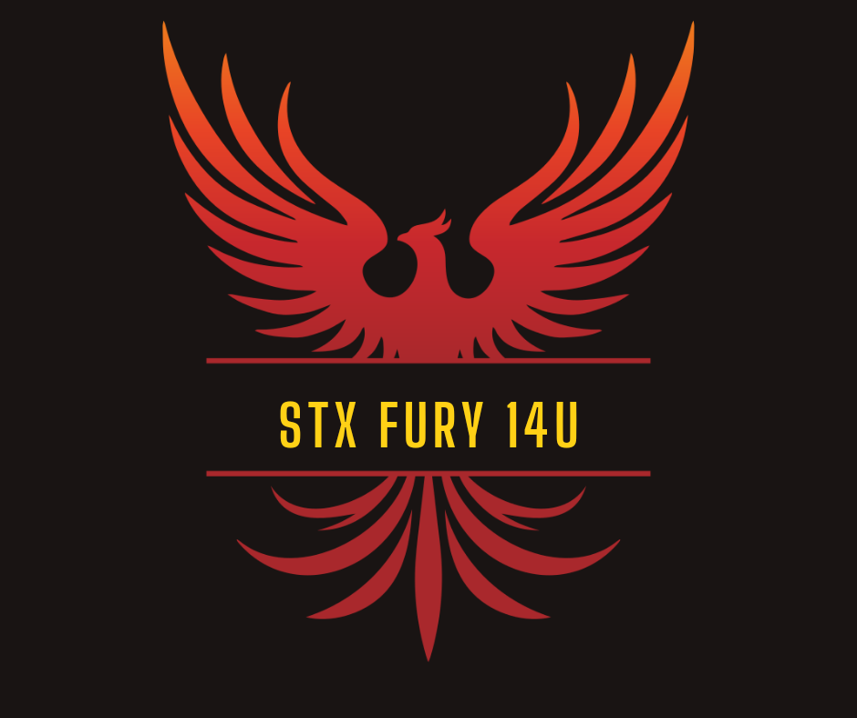 National Championship Sports | Fastpitch | STX Fury | 14U C