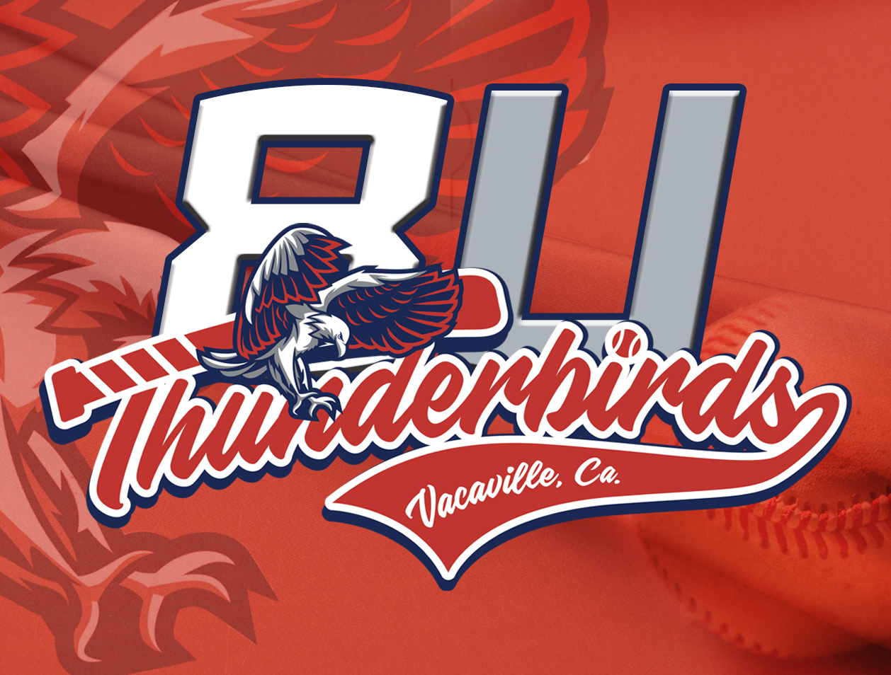 National Championship Sports | Baseball | Thunderbirds | 8U D3 KP