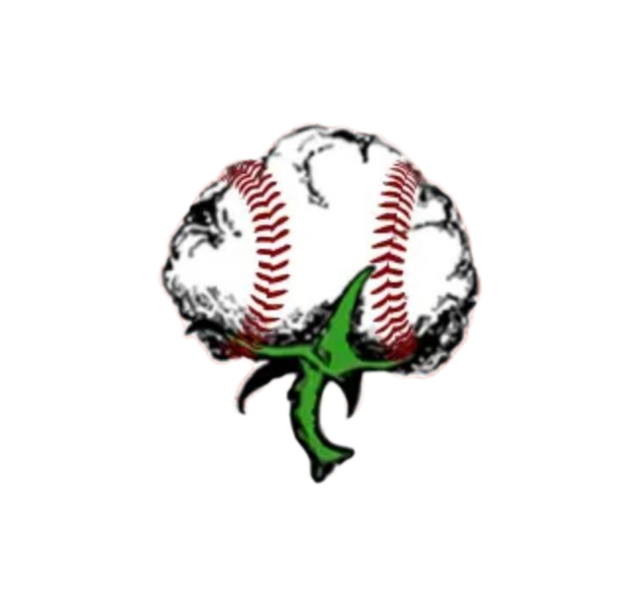 National Championship Sports | Baseball | Robstown Cotton Pickers | 18U D2
