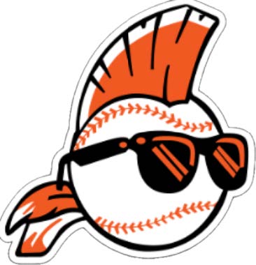 National Championship Sports | Baseball | Aledo Clutch | 7U D2 CP