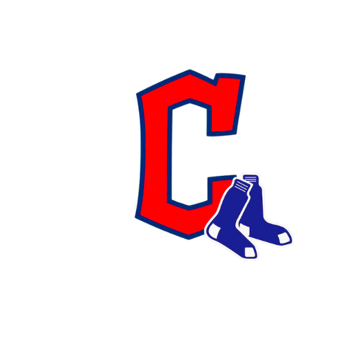 National Championship Sports | Baseball | Blue Sox | 14U D3