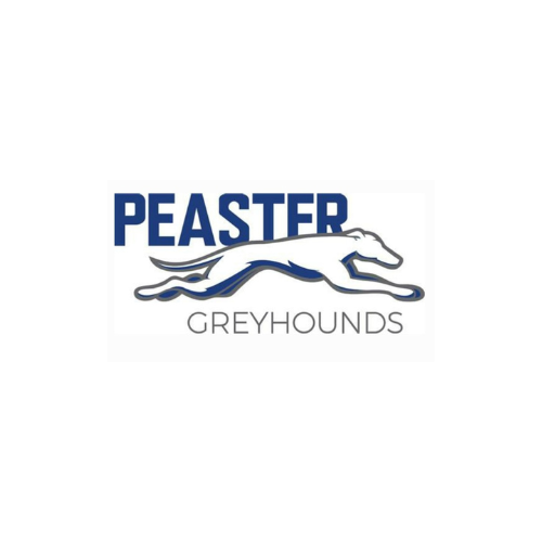 National Championship Sports | Baseball | Peaster Greyhounds | 9U D3