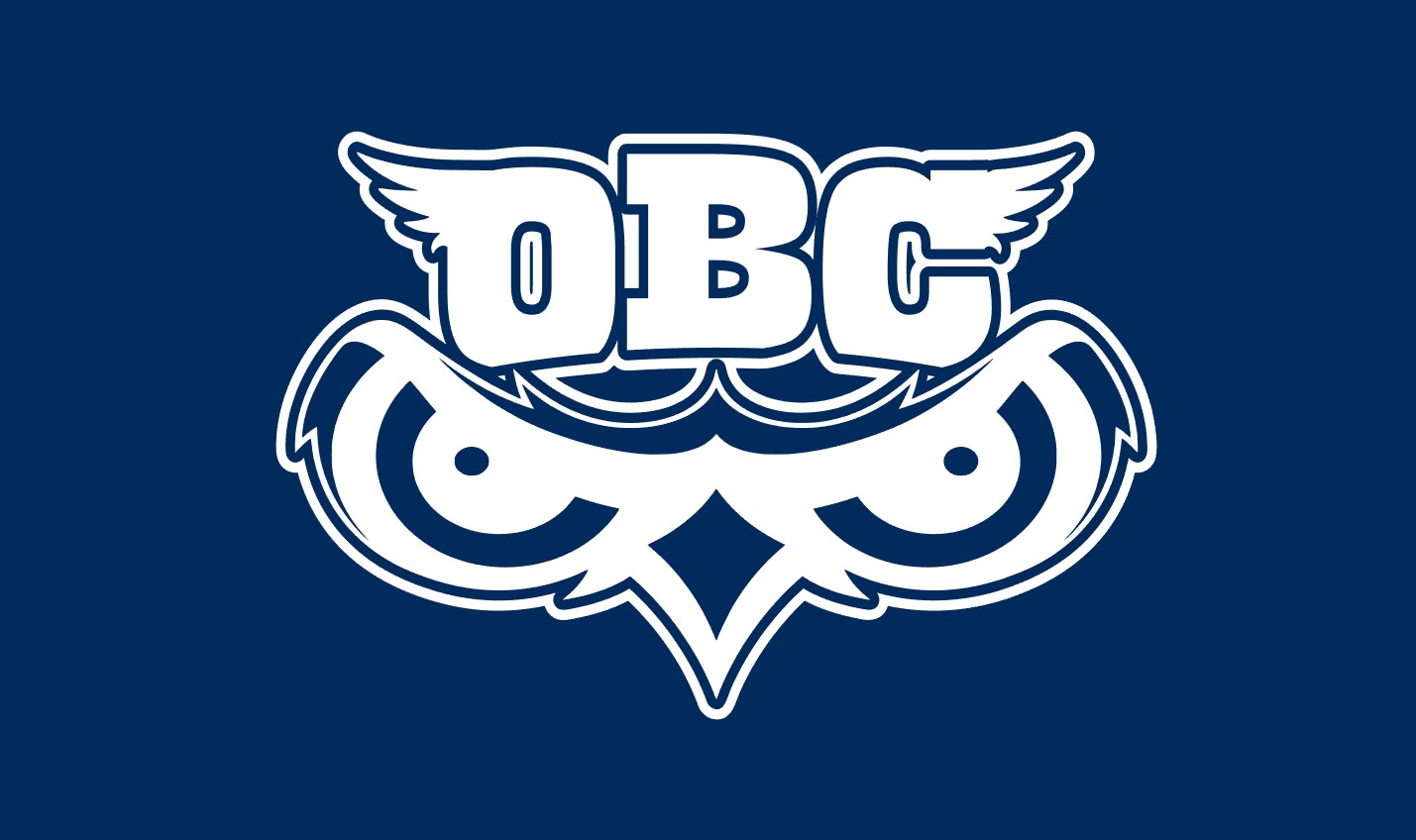 National Championship Sports | Baseball | Owls Baseball Club | 10U D3