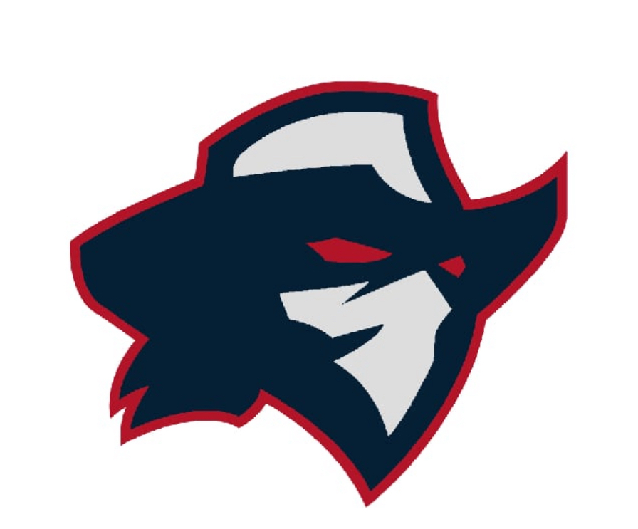 National Championship Sports | Baseball | Texas Renegades | 10U D2