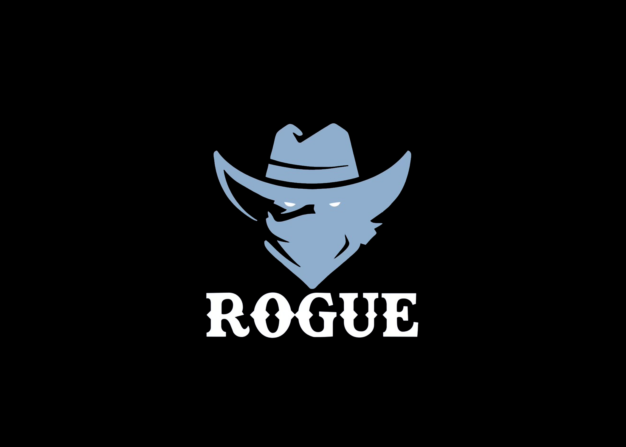 National Championship Sports | Baseball | Rogue Baseball | 9U D3