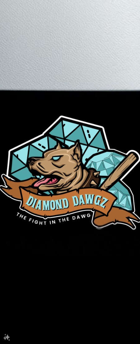 National Championship Sports | Slowpitch | Diamond Dawgz | MENS REC