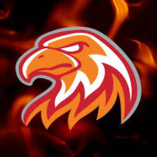 National Championship Sports | Baseball | Firehawks | 10U REC